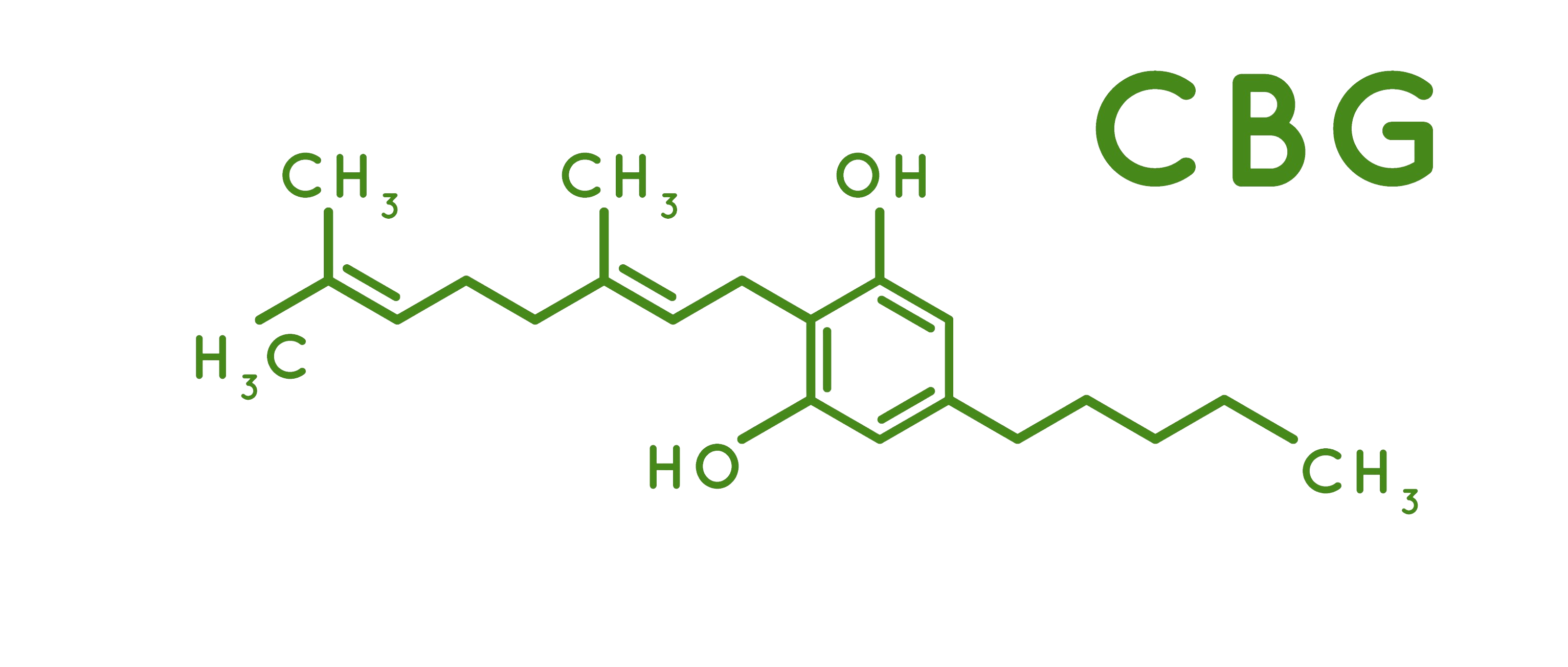 CBG: The Mother Cannabinoid and Its Benefits for Human Health – Your ...